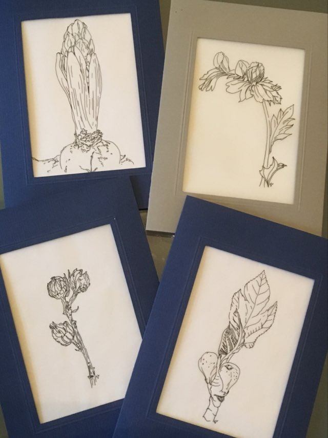 Local Artist – Sarah Löcker – My Graz