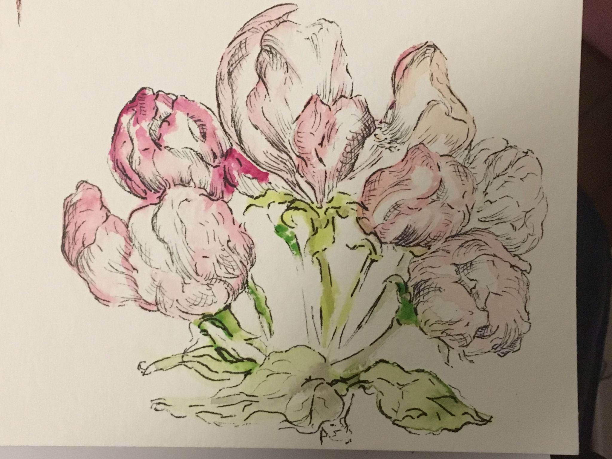Local Artist – Sarah Löcker – My Graz