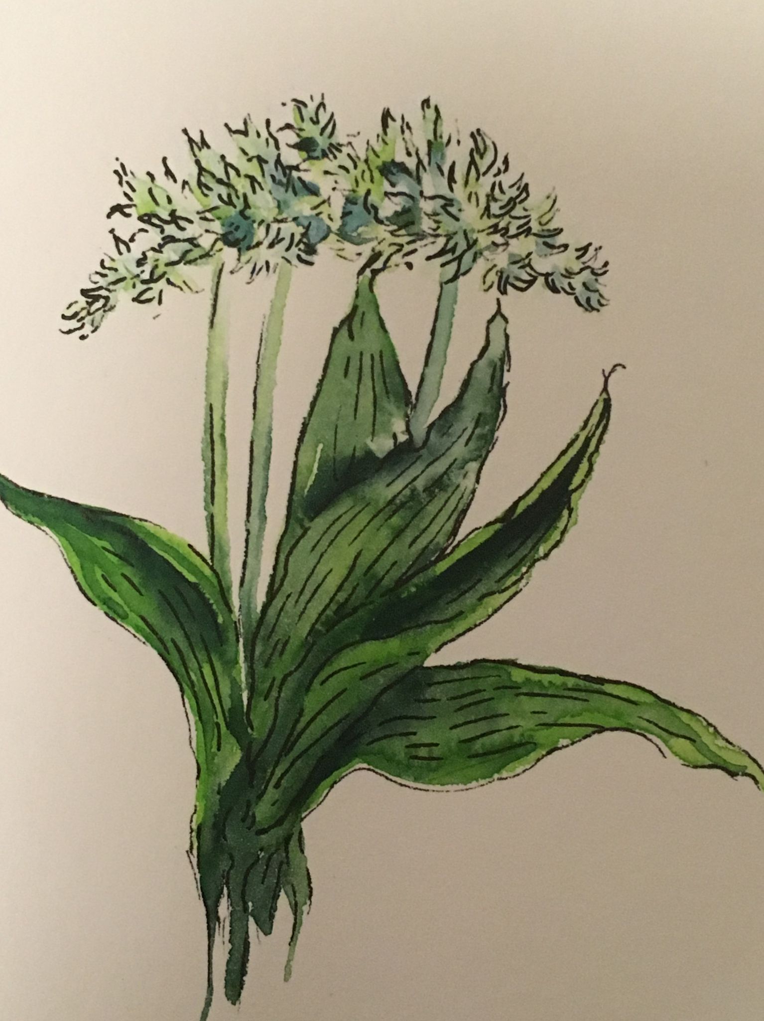 Local Artist – Sarah Löcker – My Graz