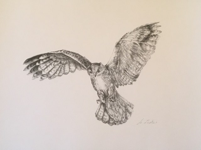Local Artist – Sarah Löcker – My Graz