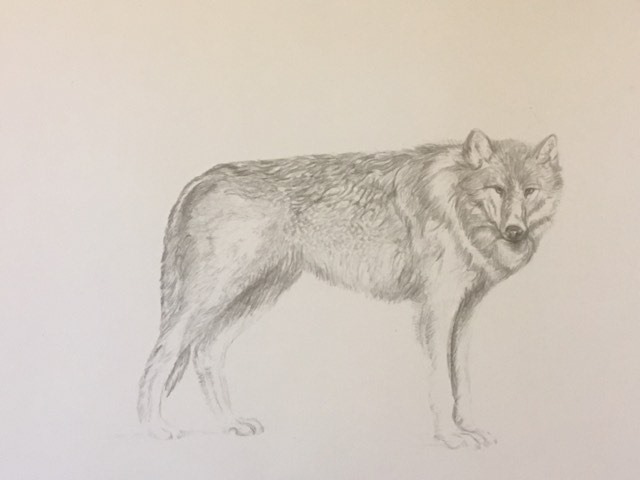 Local Artist – Sarah Löcker – My Graz