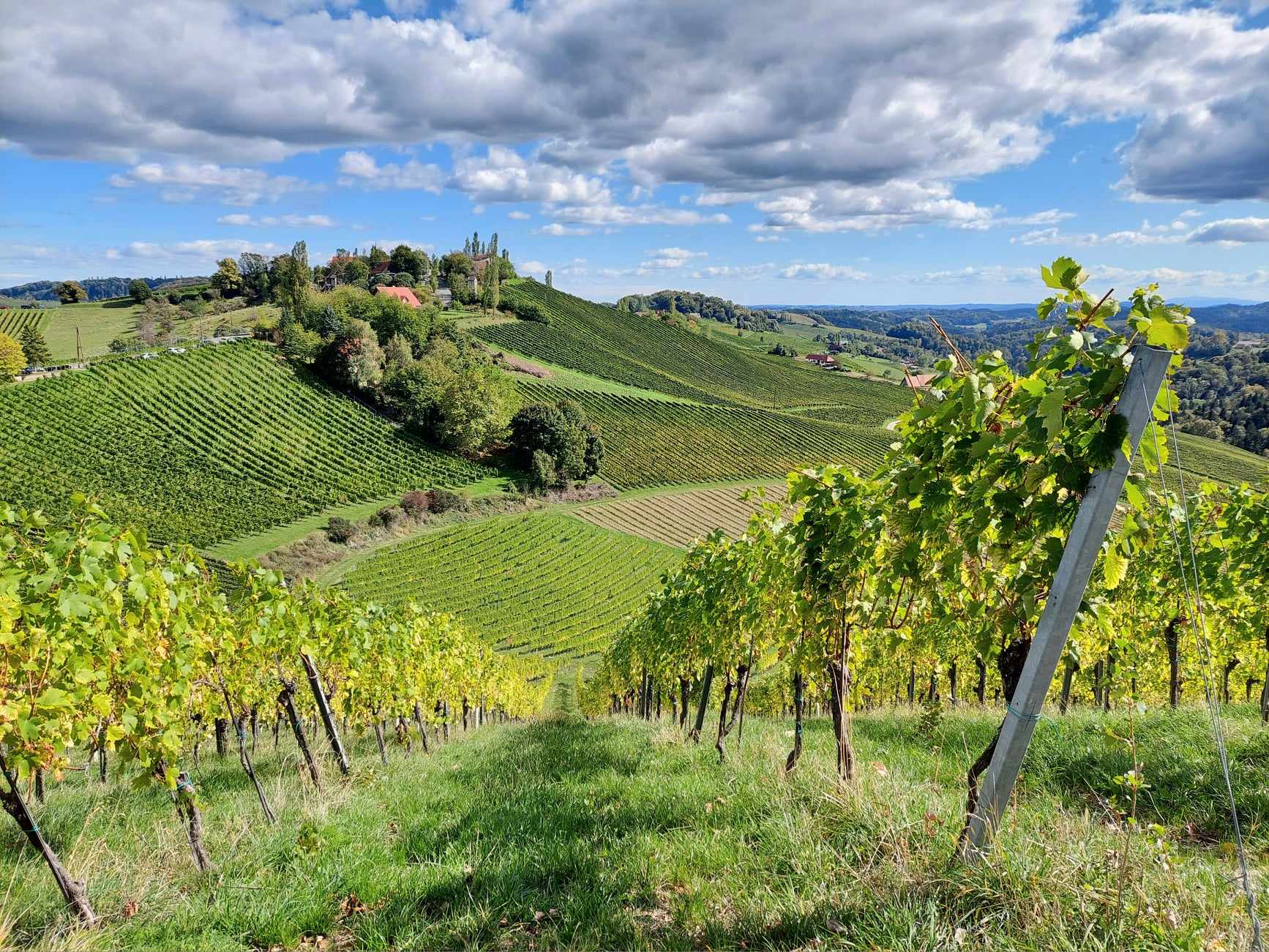 Hiking in the Wine Country #2 – My Graz